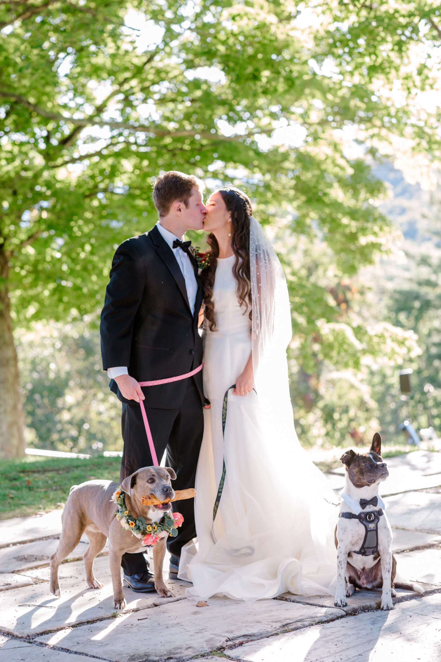 Colourful & Vibrant Mountainside Vermont Destination Wedding: Shelby ...